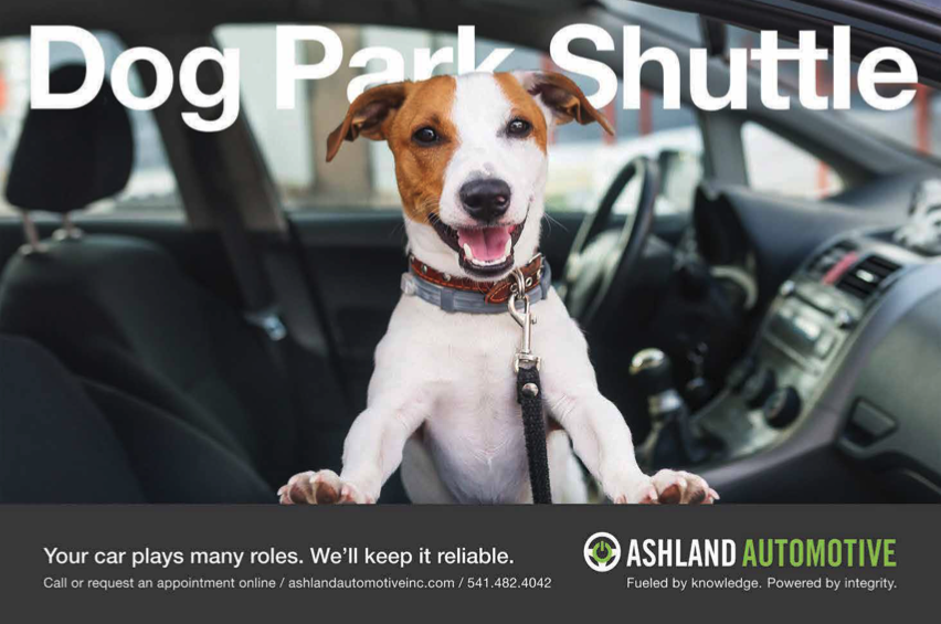 A Doggone Good Way to Protect Your Pup - Ashland Oregon LocalsGuide